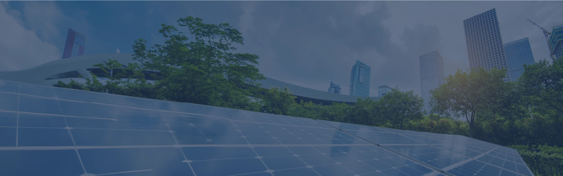 DISCOVER THE LATEST NEWS AND INSIGHTS EXPERT ON SOLAR POWER